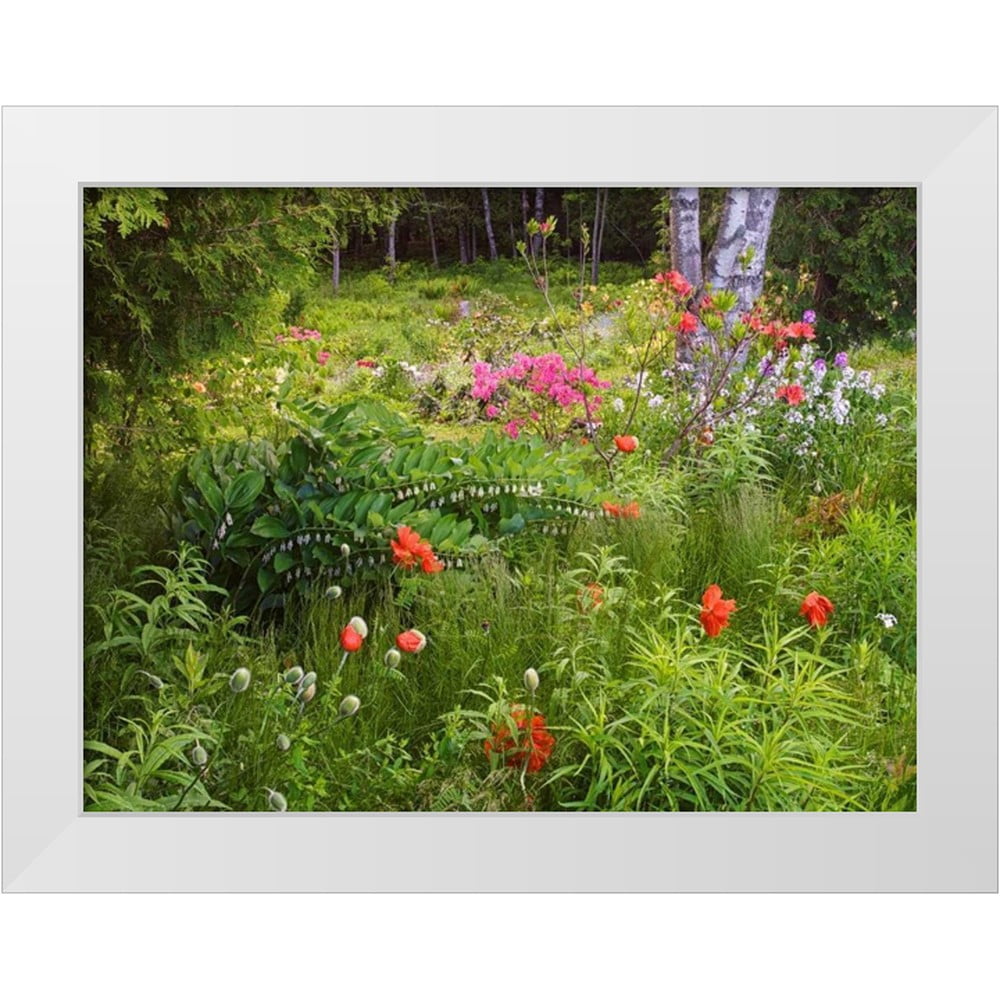 Anon, Ellen 14x12 White Modern Wood Framed Museum Art Print Titled ...