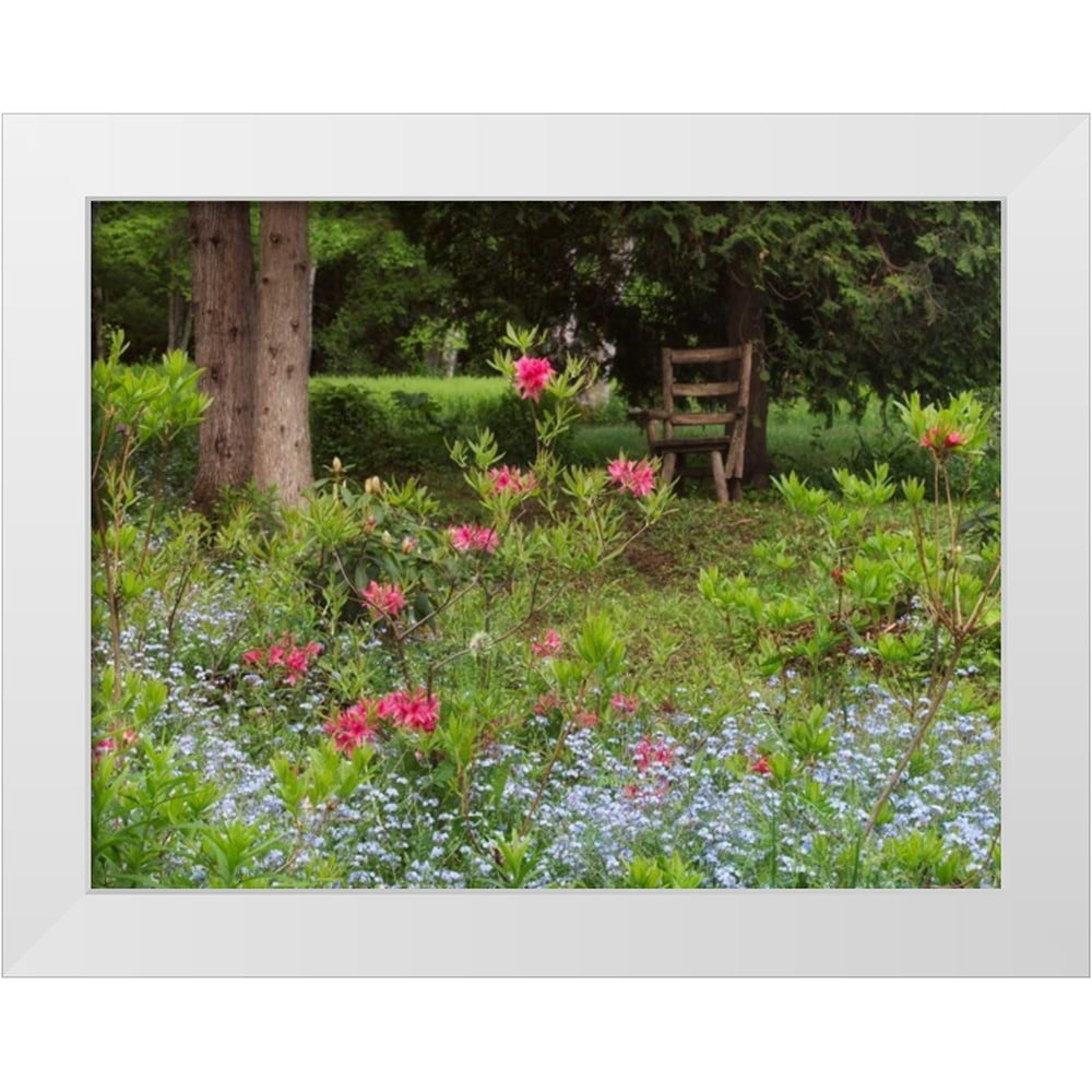 Anon, Ellen 14x12 White Modern Wood Framed Museum Art Print Titled ...