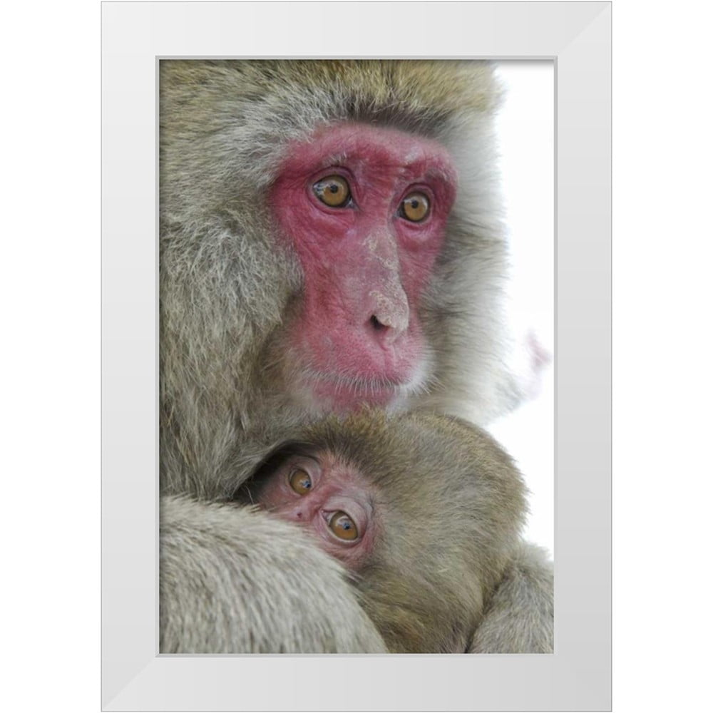 Anon, Josh 13x18 White Modern Wood Framed Museum Art Print Titled ...