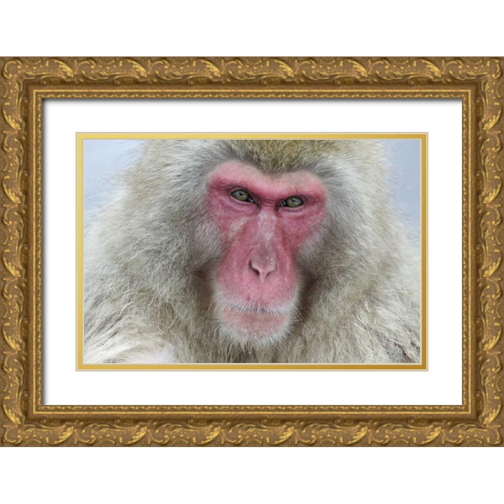 Anon, Josh 14x11 Gold Ornate Wood Framed with Double Matting Museum Art ...