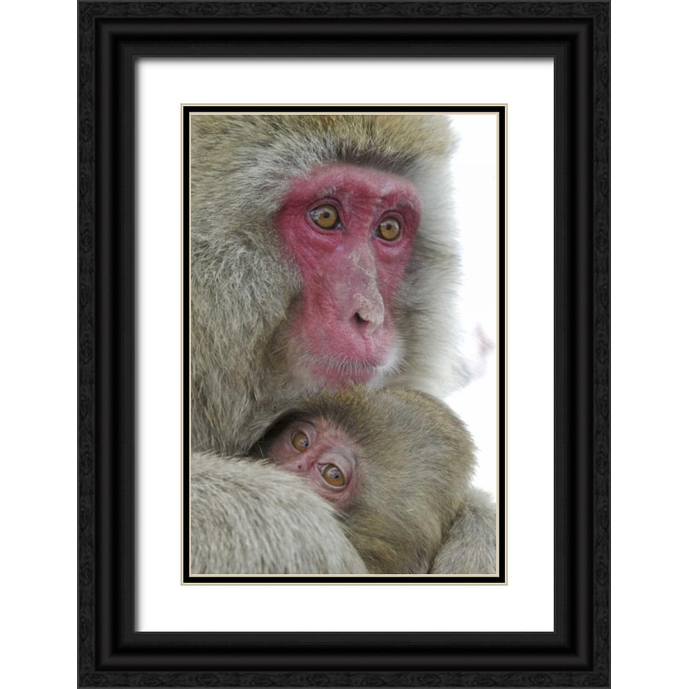 Anon, Josh 17x24 Black Ornate Wood Framed with Double Matting Museum ...