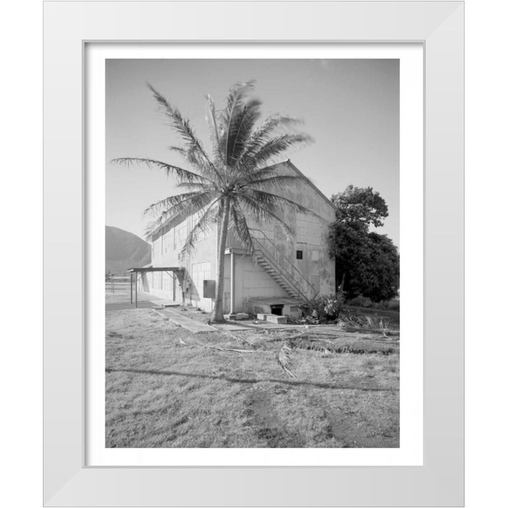 Anonymous 12x14 White Modern Wood Framed Museum Art Print Titled - Palm ...