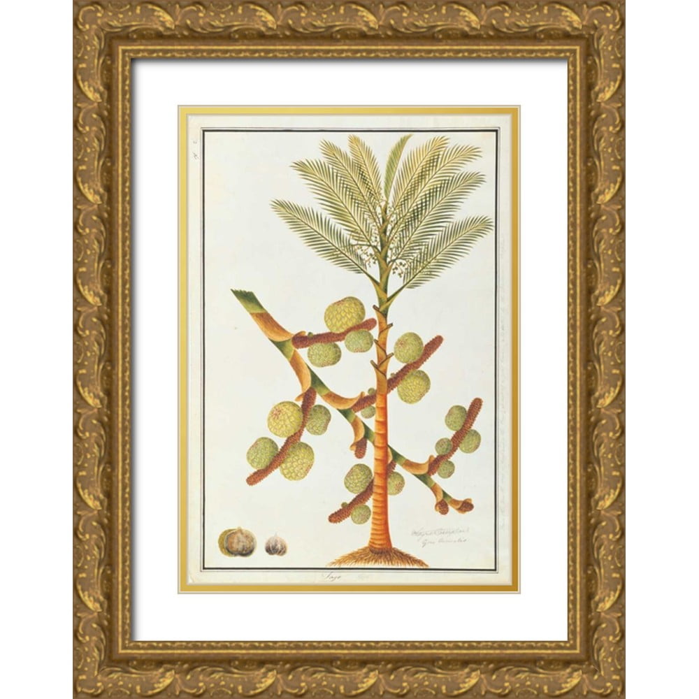 Anonymous 14x18 Gold Ornate Wood Framed with Double Matting Museum Art ...