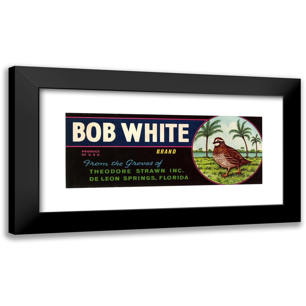 Anonymous 14x8 Black Modern Framed Museum Art Print Titled - Bob White ...