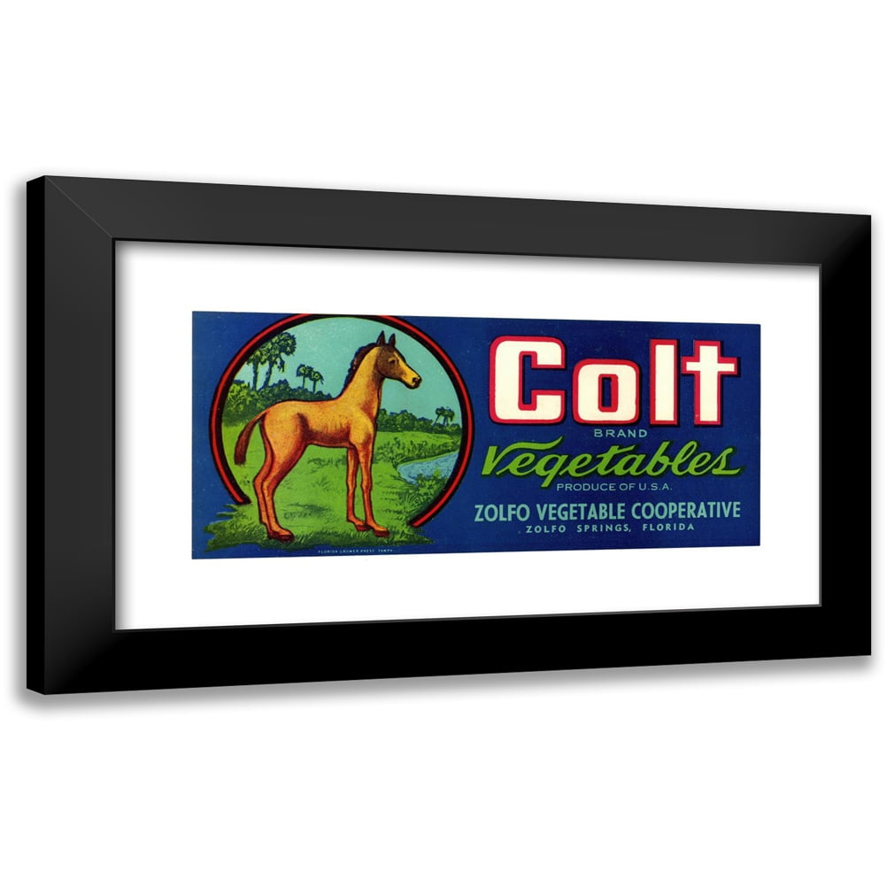 Anonymous 14x8 Black Modern Framed Museum Art Print Titled - Colt Brand ...