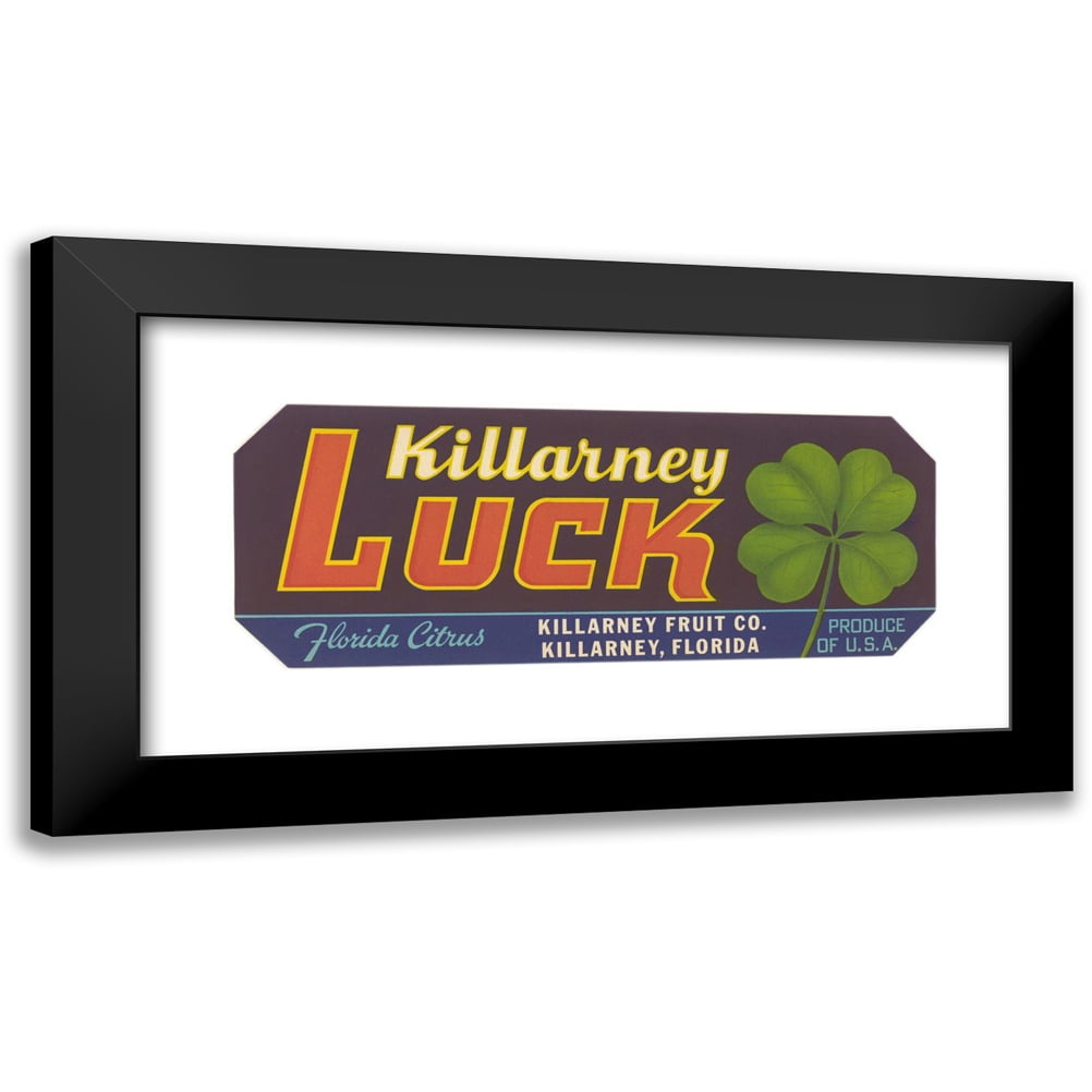 Anonymous 14x8 Black Modern Framed Museum Art Print Titled - Killarney ...