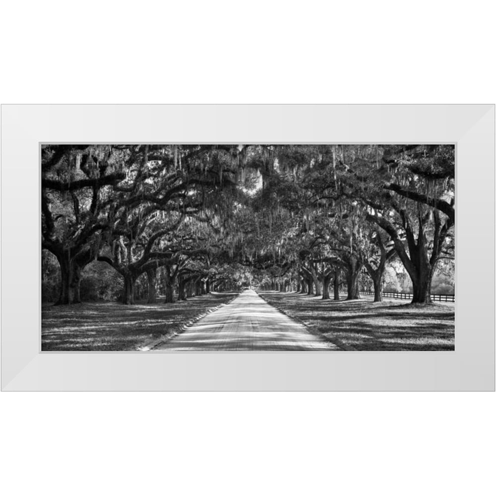 Anonymous 14x9 White Modern Wood Framed Museum Art Print Titled - Tree ...