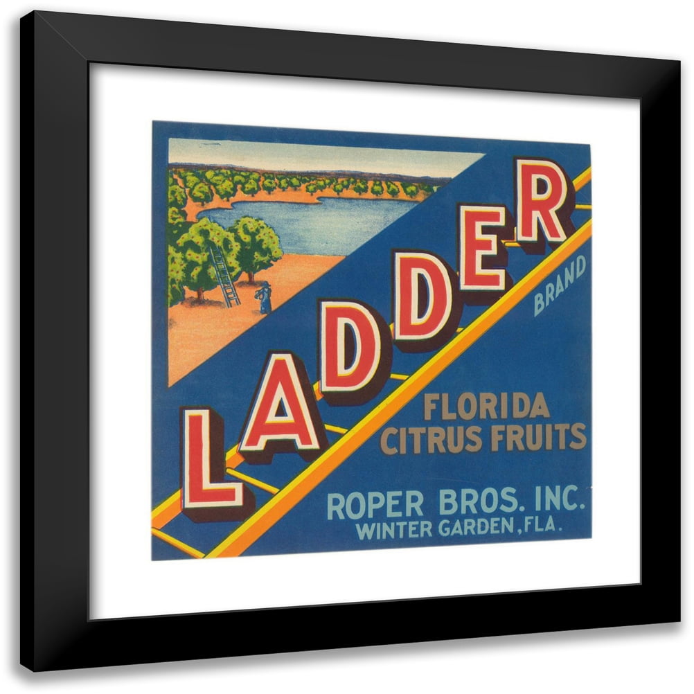 Anonymous 15x15 Black Modern Framed Museum Art Print Titled - Ladder ...