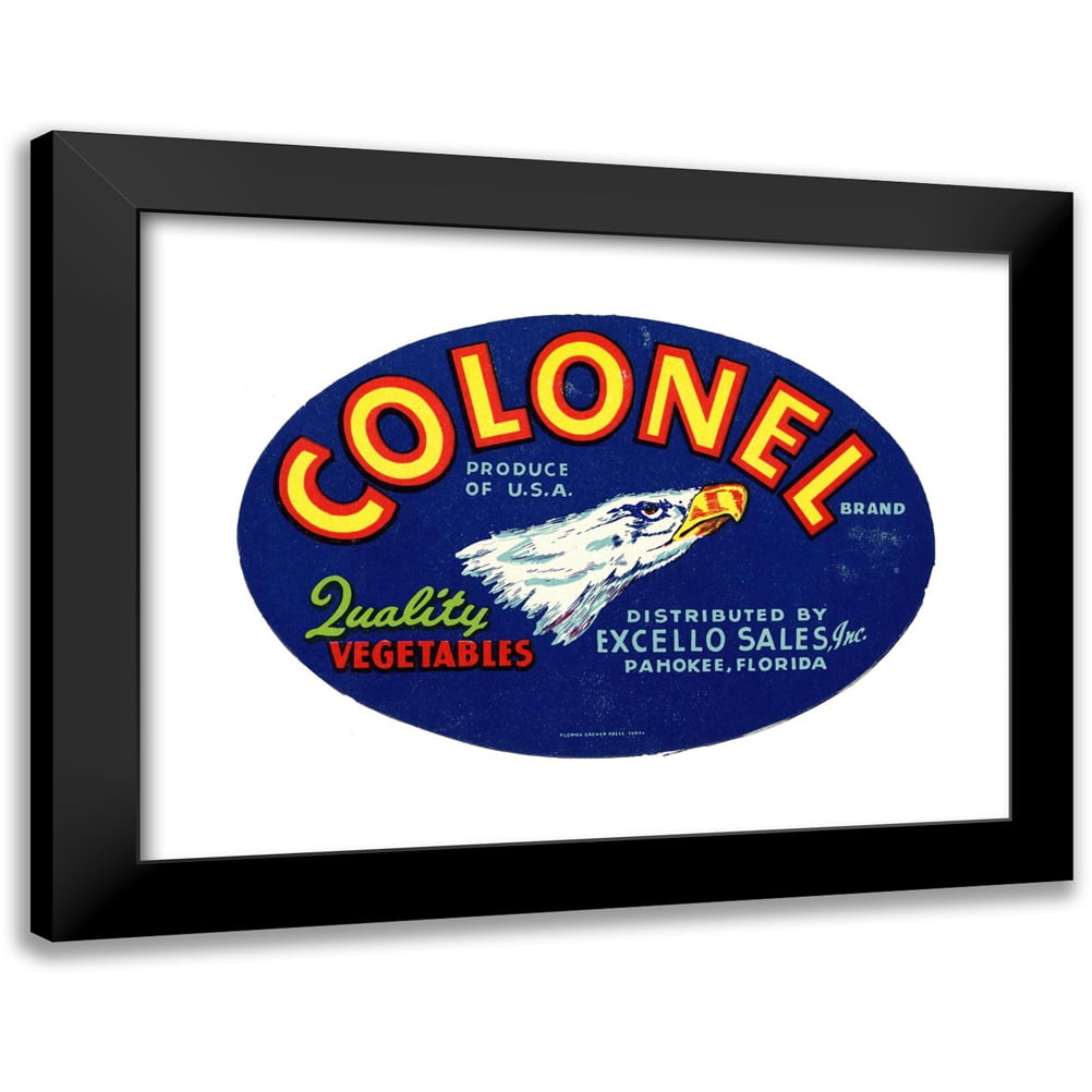 Anonymous 18x14 Black Modern Framed Museum Art Print Titled - Colonel ...