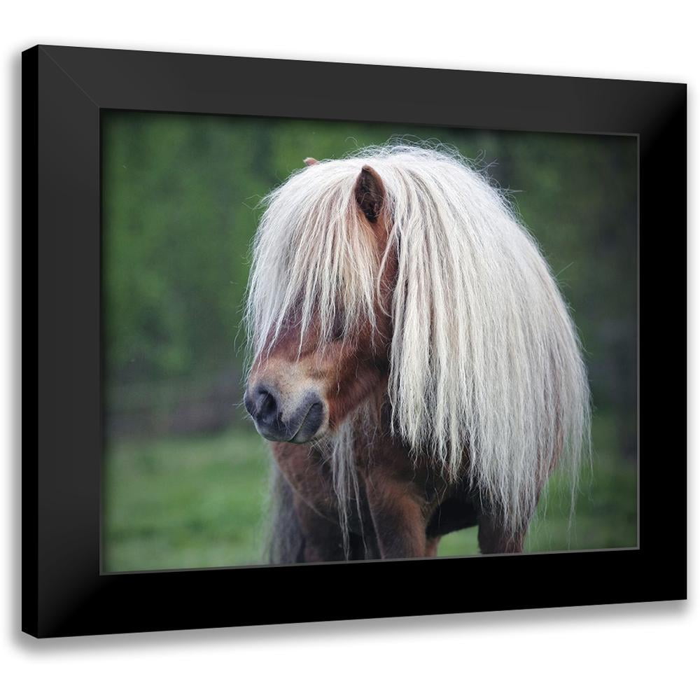 Anonymous 18x15 Black Modern Framed Museum Art Print Titled - Little ...