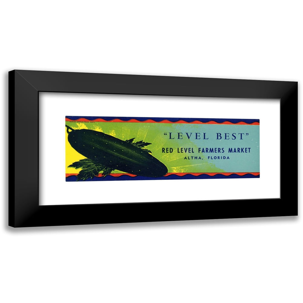 Anonymous 18x9 Black Modern Framed Museum Art Print Titled - Level Best ...