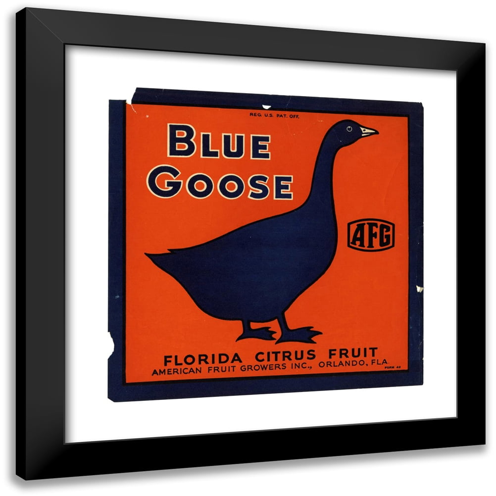 Anonymous 20x20 Black Modern Framed Museum Art Print Titled - Blue ...