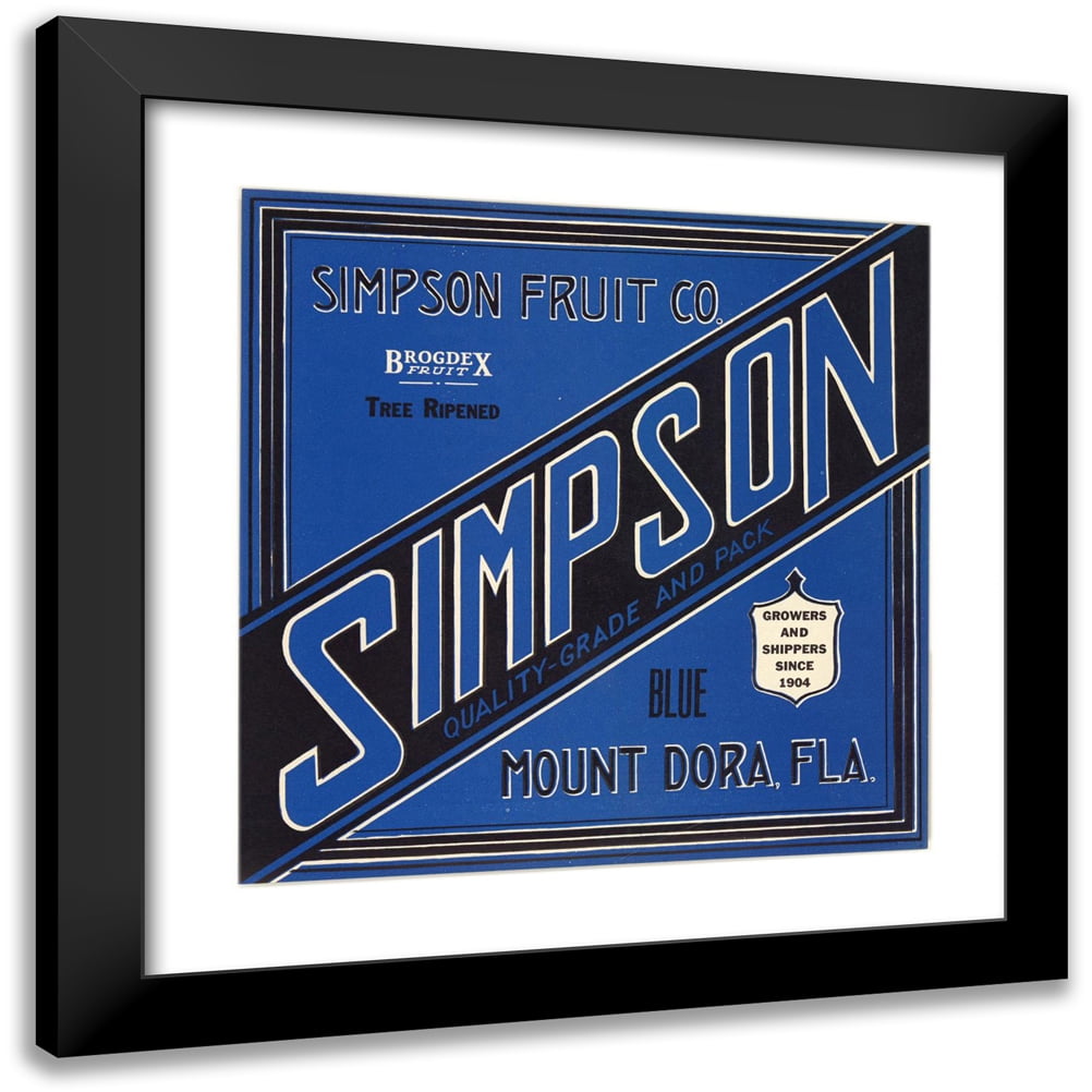 Anonymous 20x20 Black Modern Framed Museum Art Print Titled - Fruit ...