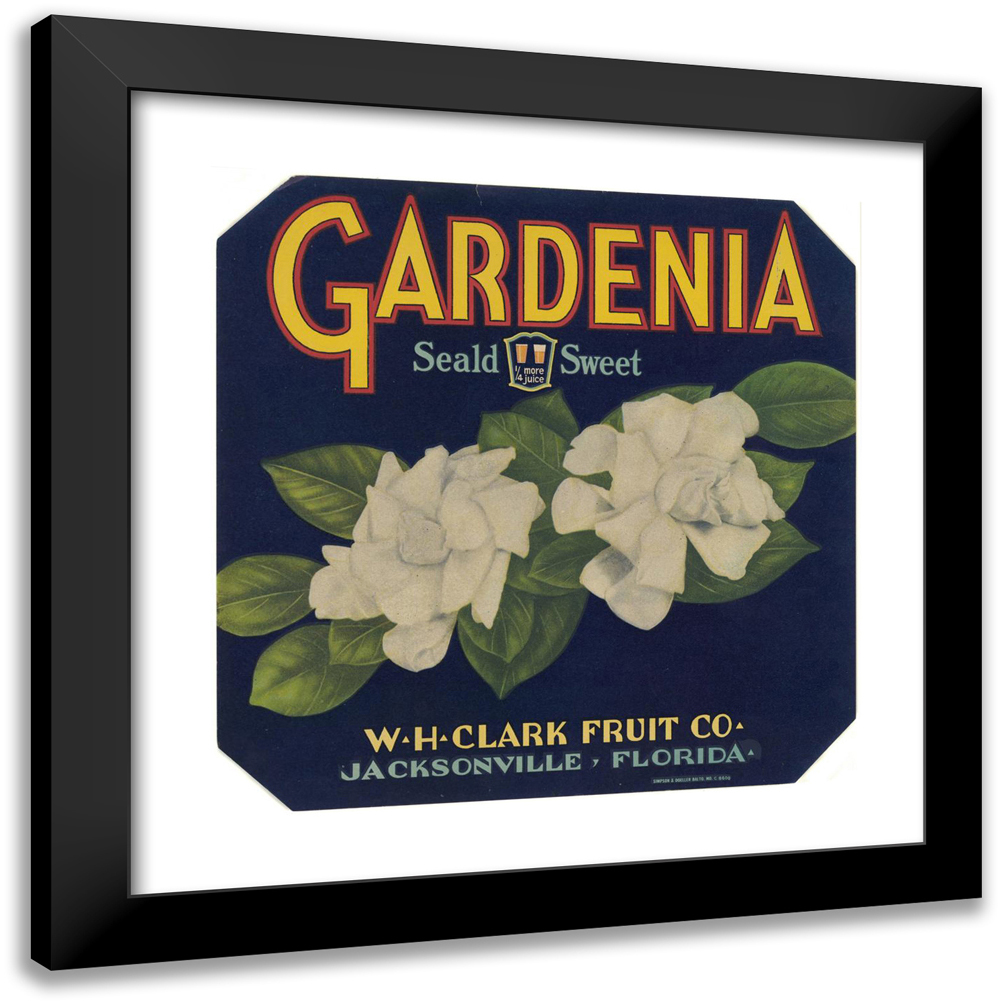 Anonymous 20x20 Black Modern Framed Museum Art Print Titled - Gardenia ...