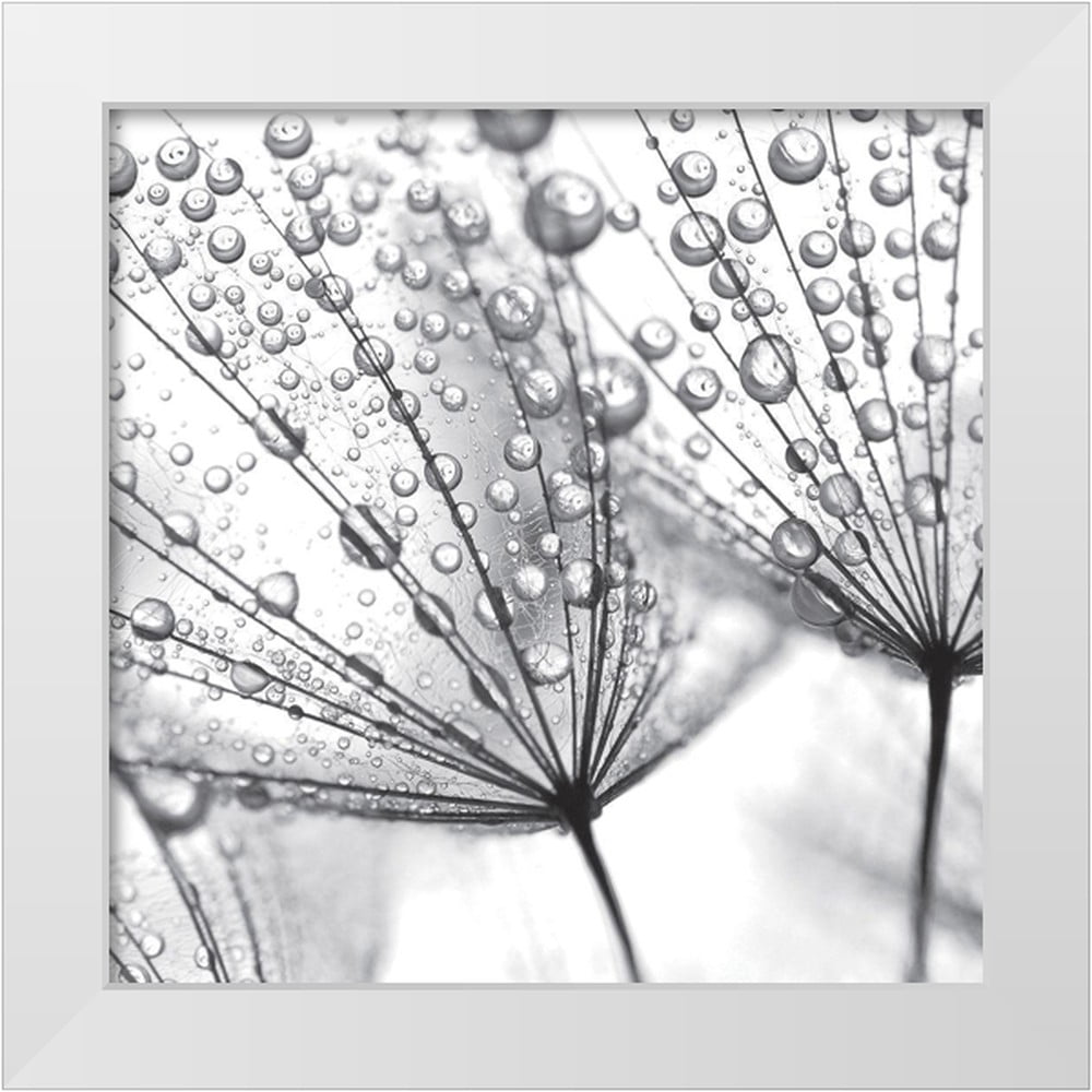 Anonymous 20x20 White Modern Wood Framed Museum Art Print Titled - Delicate Wisps II - Walmart.com