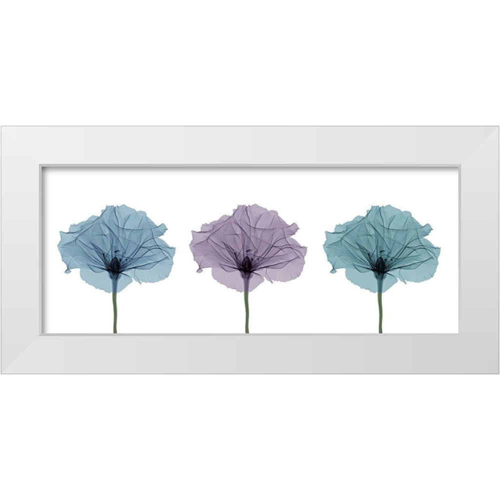 Anonymous 24x12 White Modern Wood Framed Museum Art Print Titled ...