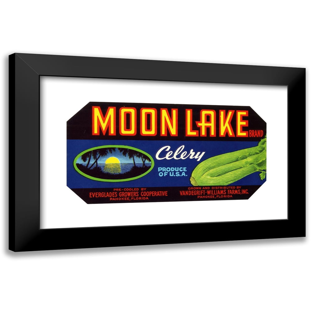 Anonymous 24x15 Black Modern Framed Museum Art Print Titled - Moon Lake ...