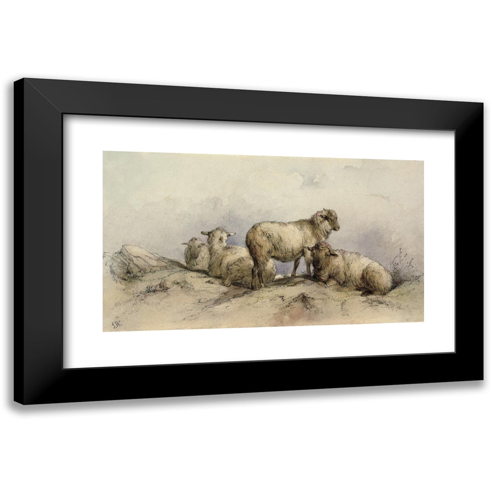 Anonymous 24x15 Black Modern Framed Museum Art Print Titled - Sheep in ...