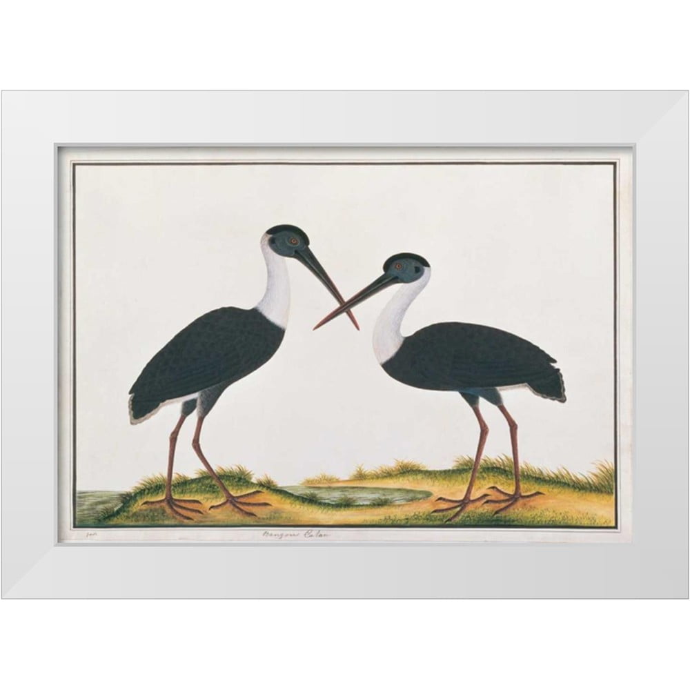 Anonymous 24x18 White Modern Wood Framed Museum Art Print Titled ...