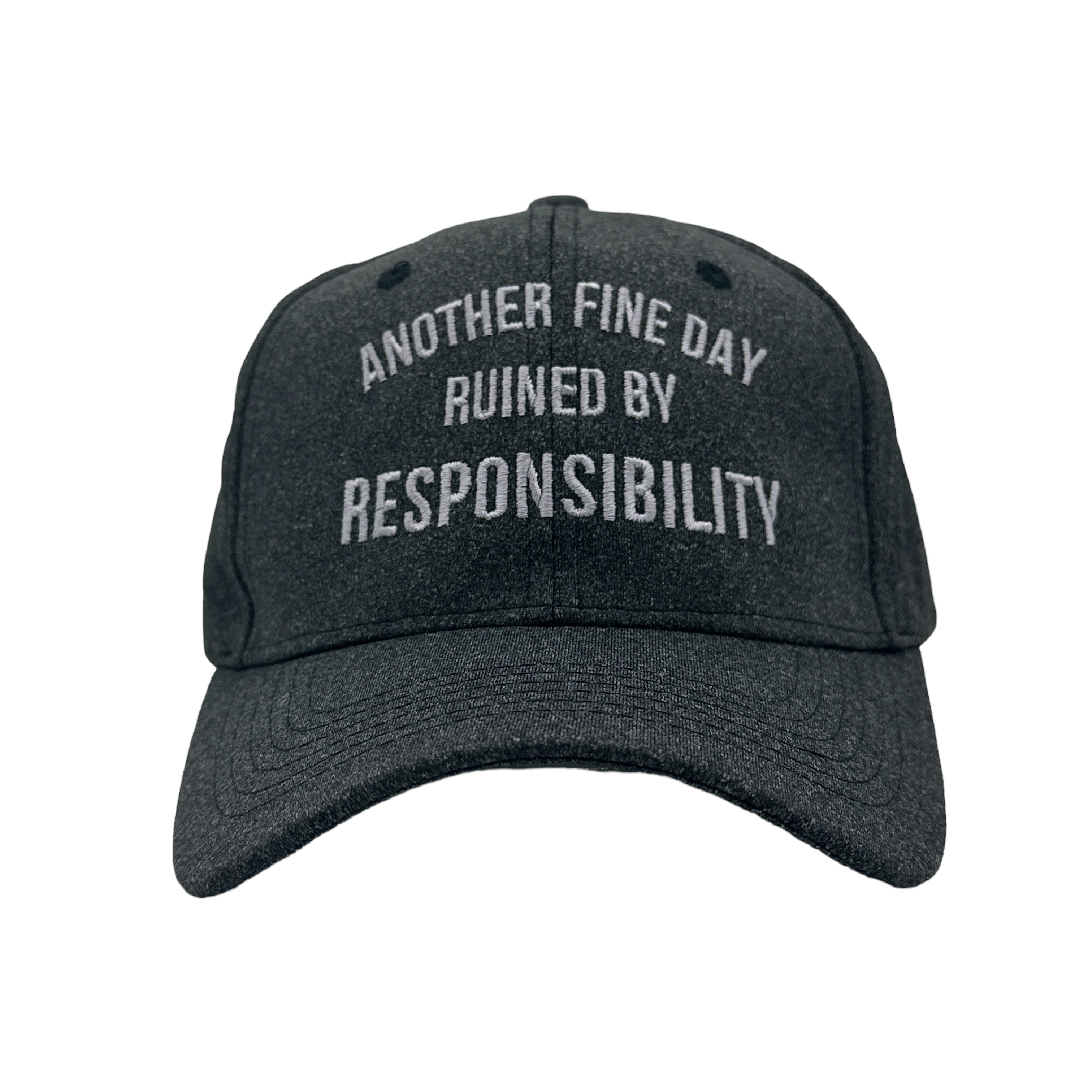 Another Fine Day Ruined By Responsibility Hat Funny Graphic Cap ...