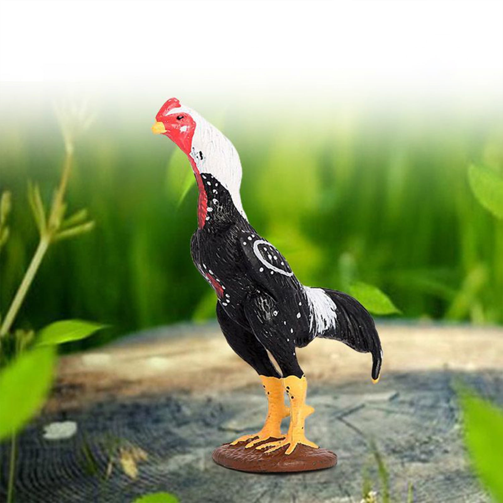 Anqbci Chicken Model Hand-painted Emulation Image Clear Texture Vibrant ...