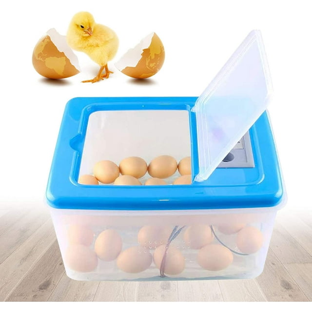 Anqidi 30W Poultry Egg Incubator PP Plastic Digital Display Hatcher Box ...