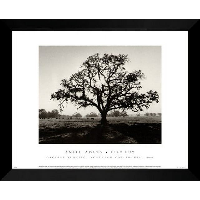 Ansel Adams FRAMED Art Print 24x30 "Oak Tree Sunrise" - Walmart.com