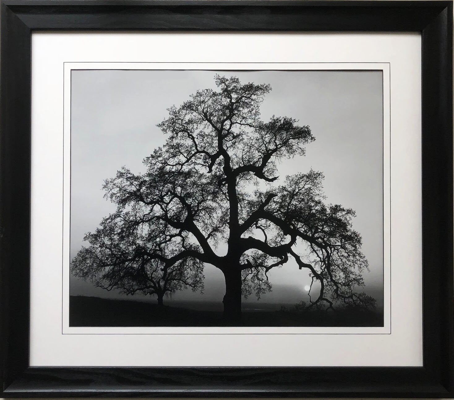 Ansel Adams "OAK TREE SUNSET" Newly Custom Framed lithograph Art Print ...