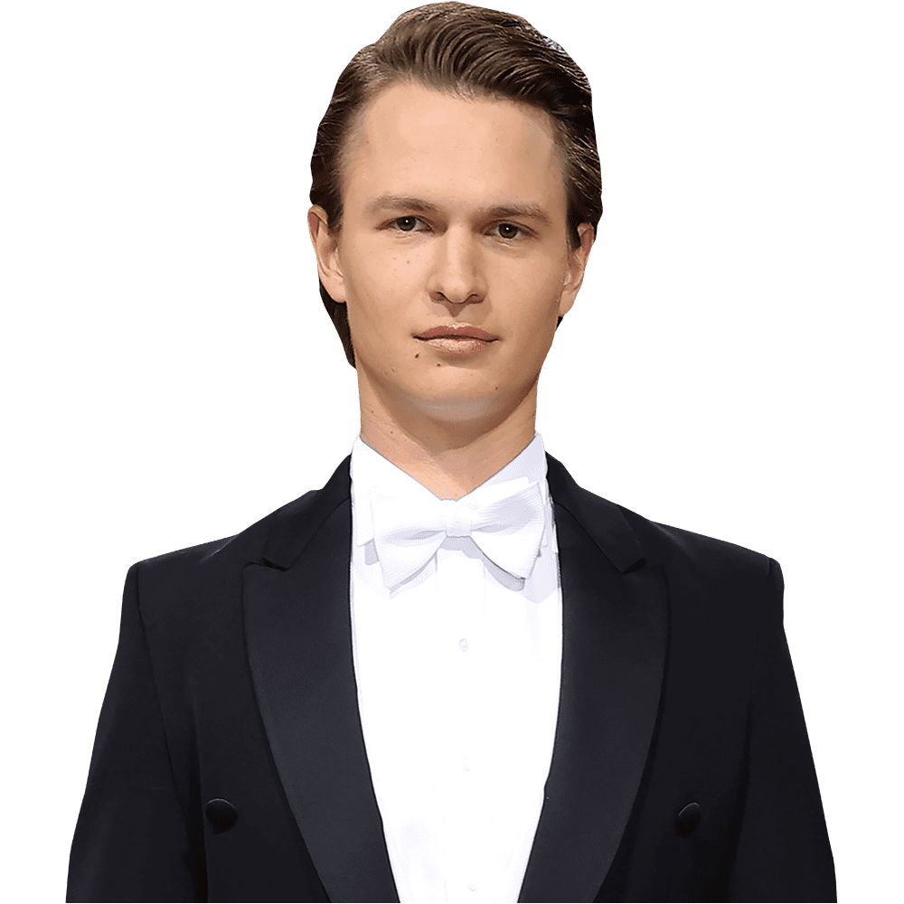 Ansel Elgort (Gloves) Half Body Buddy Cutout - Walmart.com