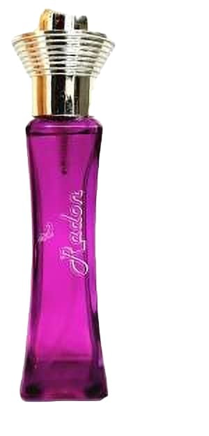 Ansh fragrance Radon Special Perfume For Gift Boys Girls Gift Fragrance ...