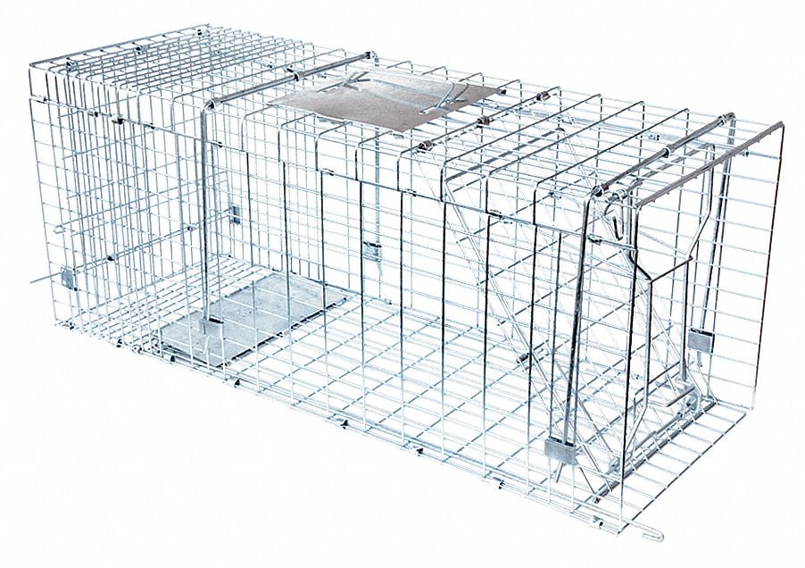 Answer JT Eaton 495N Single Door Live Animal Cage Trap for Extra Large ...