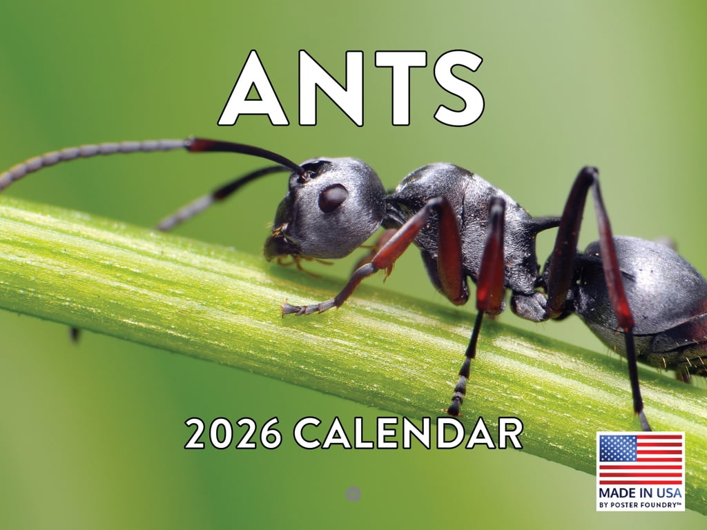 Ant Calendar 2026 Ants Monthly Wall Calender | American Made In The USA ...