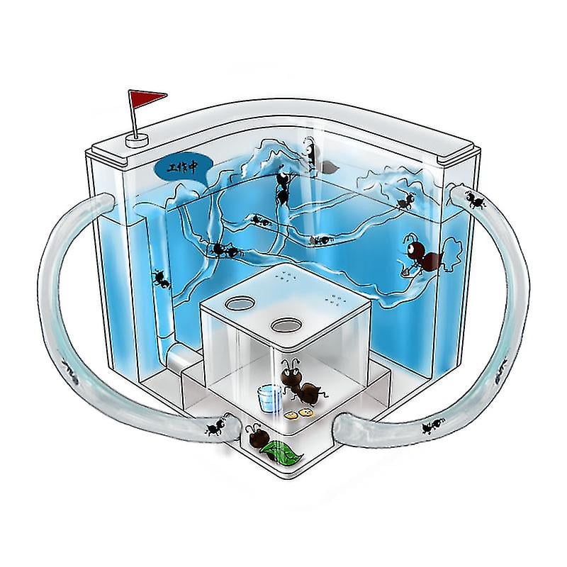 Ant Castle Ecological Toy Science Experiment Teaching Ant Nest Ant Nest ...