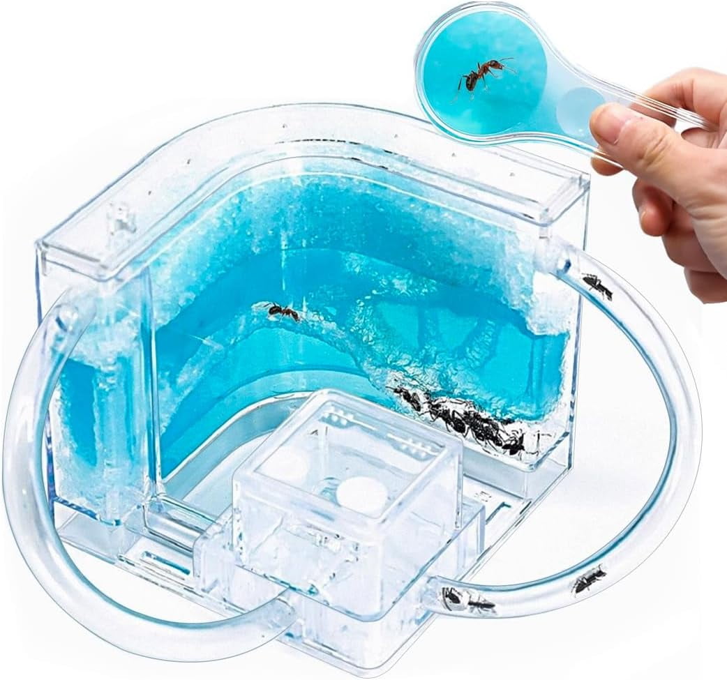 Ant Farm Castle 2.0 with Connecting Tube, Ant Habitat Science Learning ...