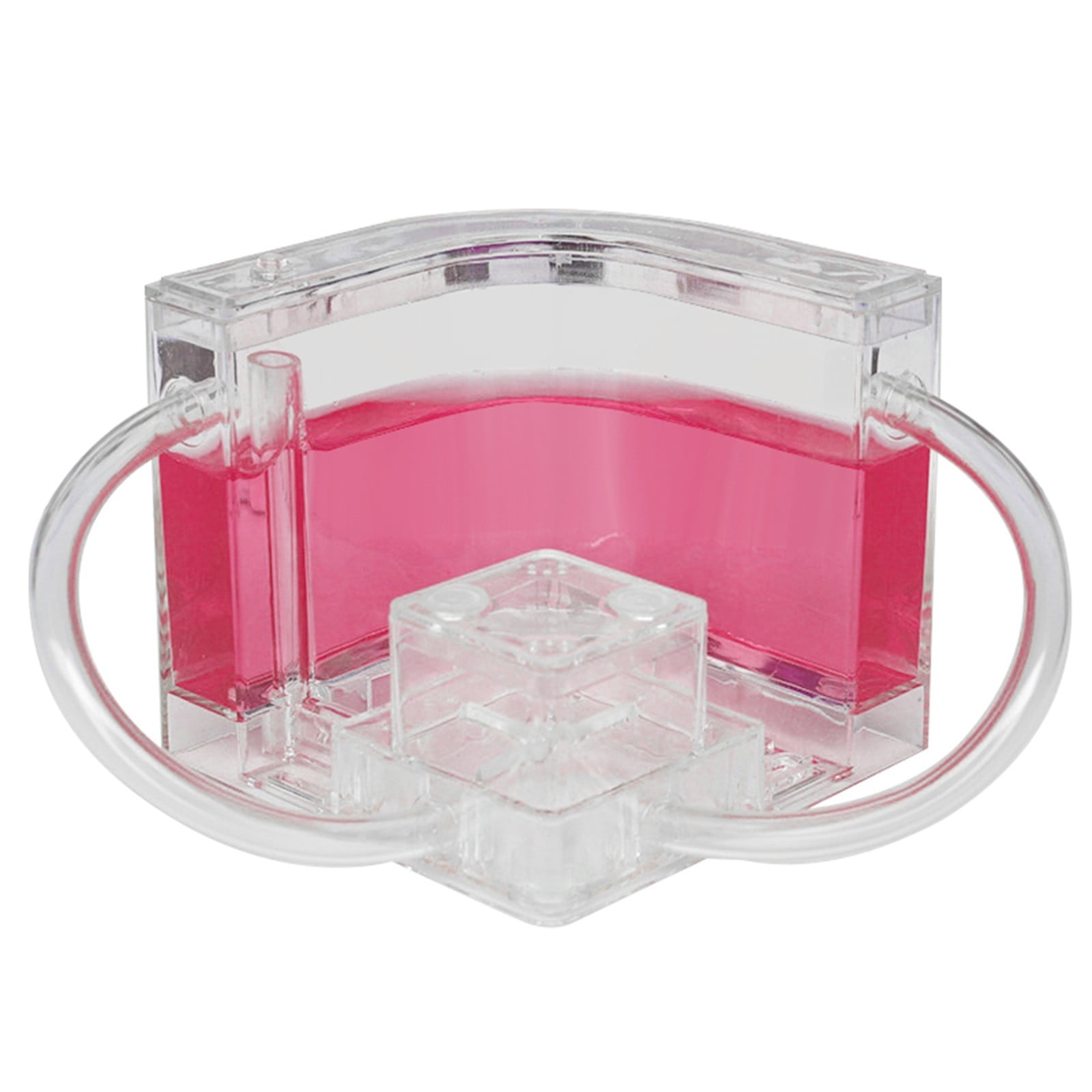 Ant Farm Castle Ant Habitat Science Learning Kit 2021 Educational Kids ...