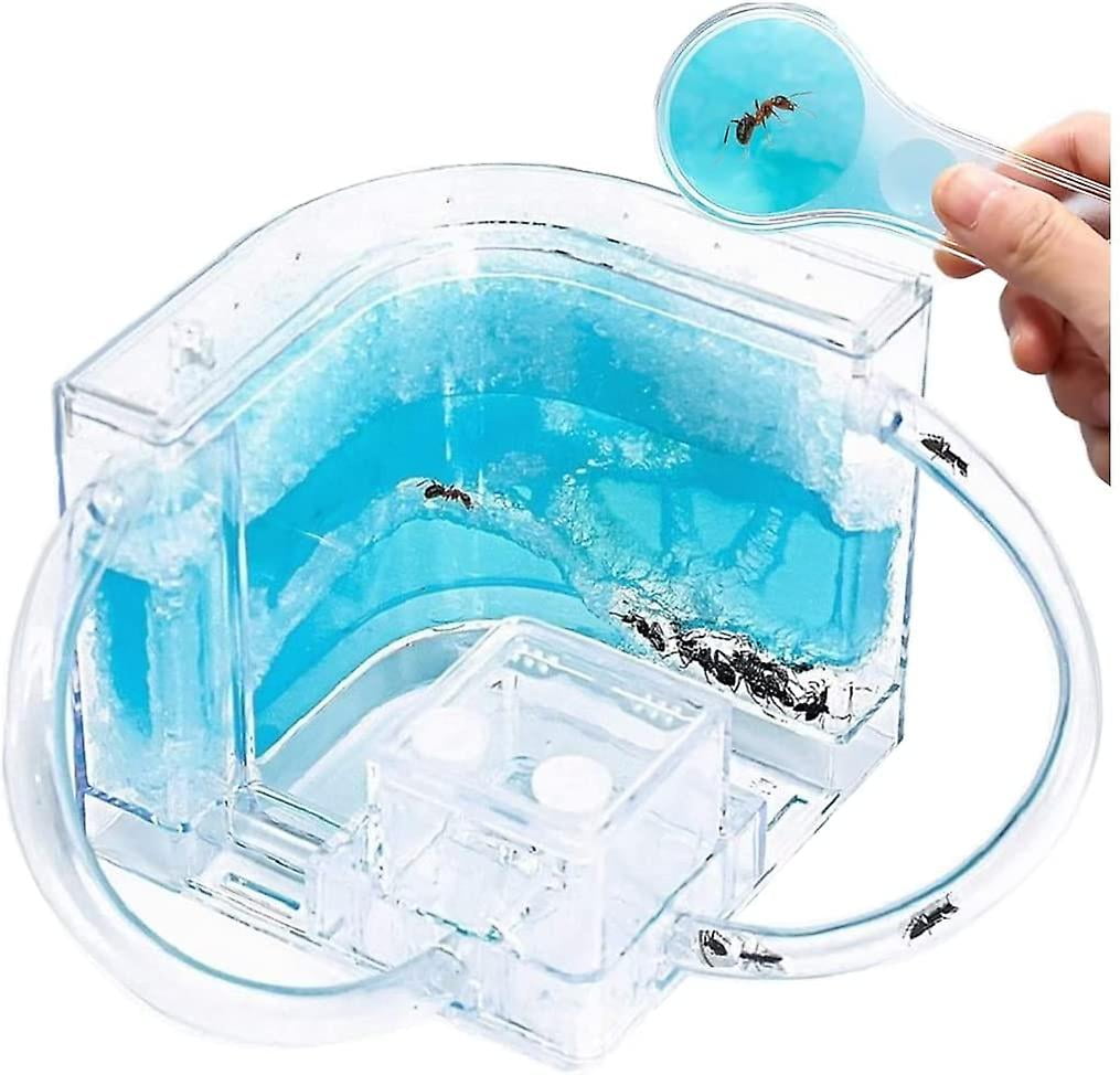 Ant Farm Castle Ant Habitat Science Learning Kit Study Insect Behavior ...