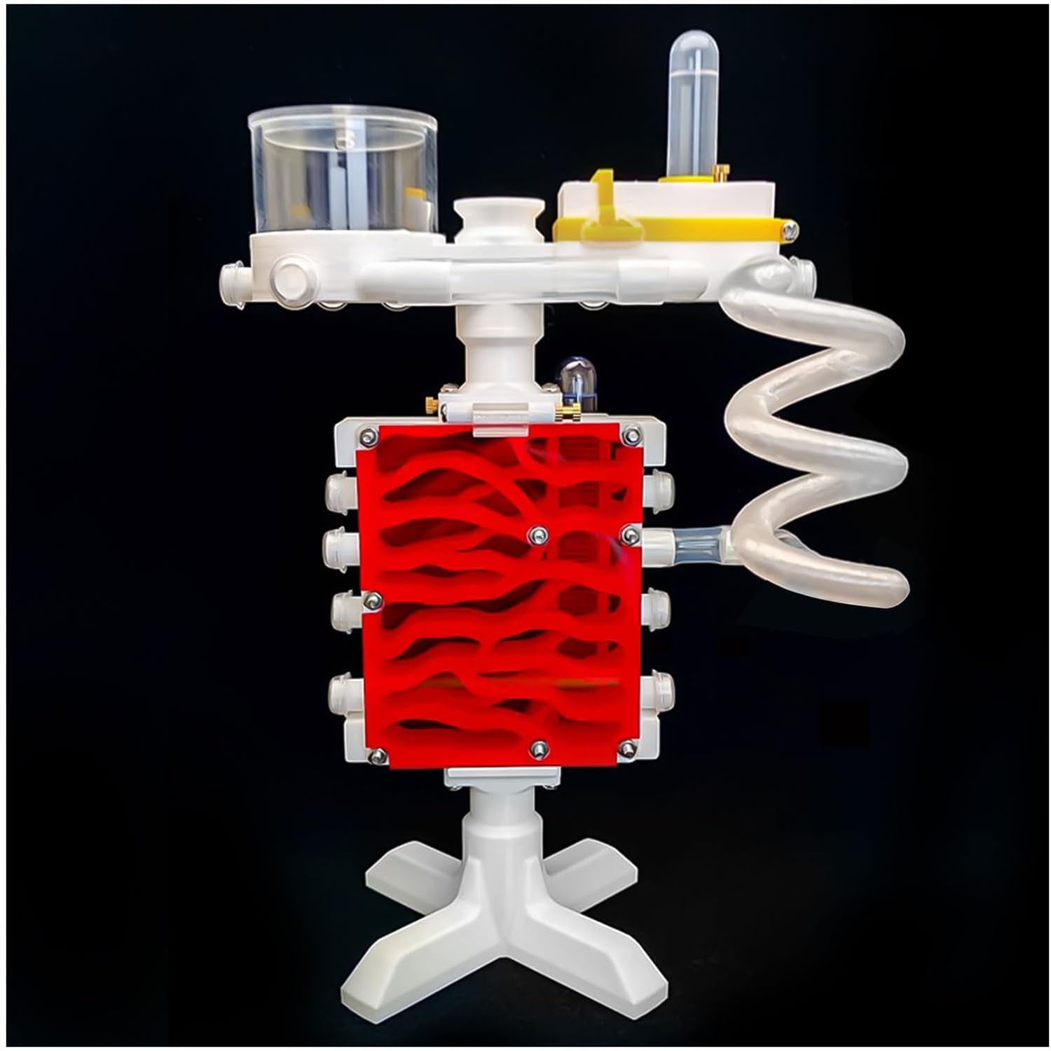 Ant Farm Habitat for Kids W/LED Light – Great Educational & Science Kit ...