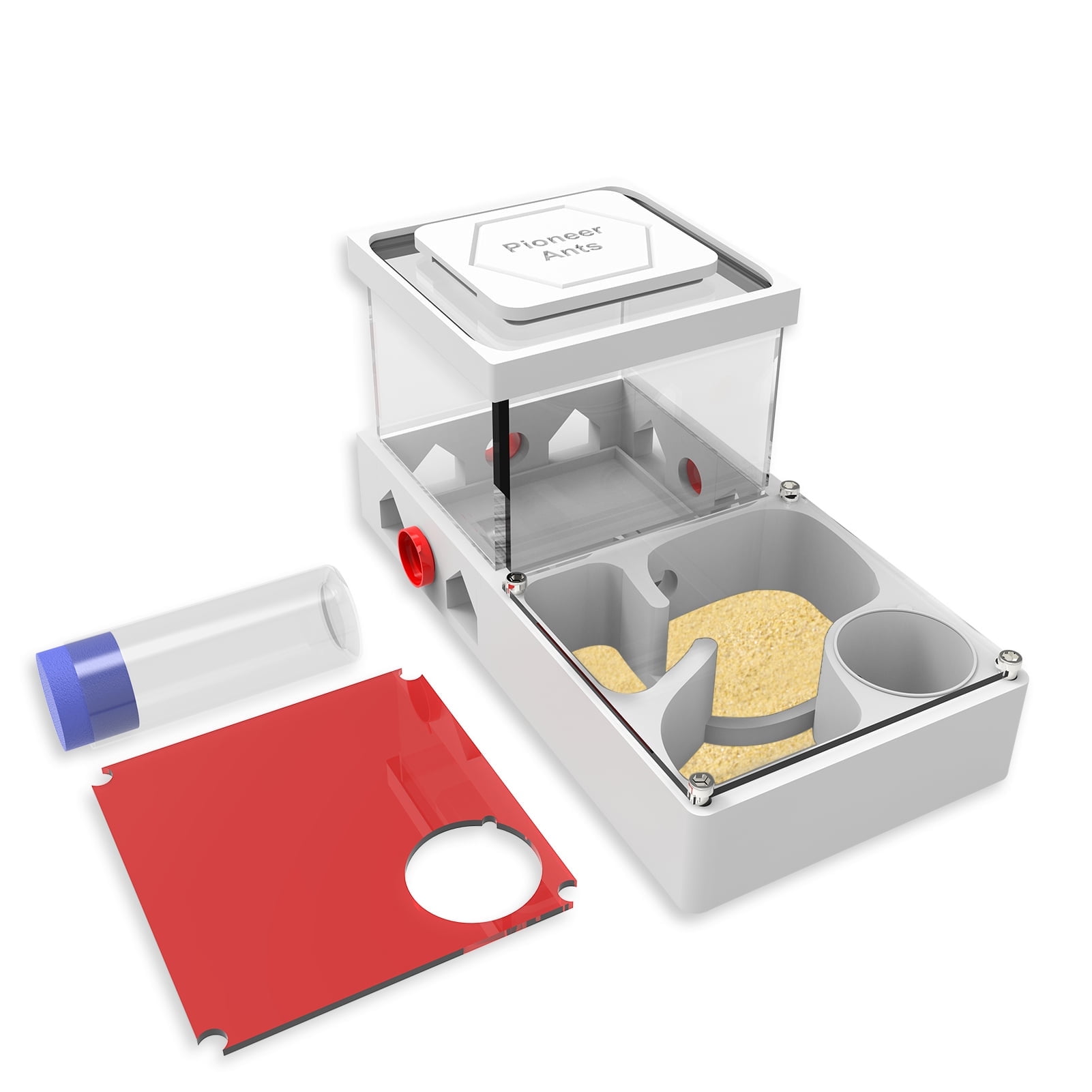 Ant Farm House for Adults - Two Floor Formicarium for Study of Ant ...