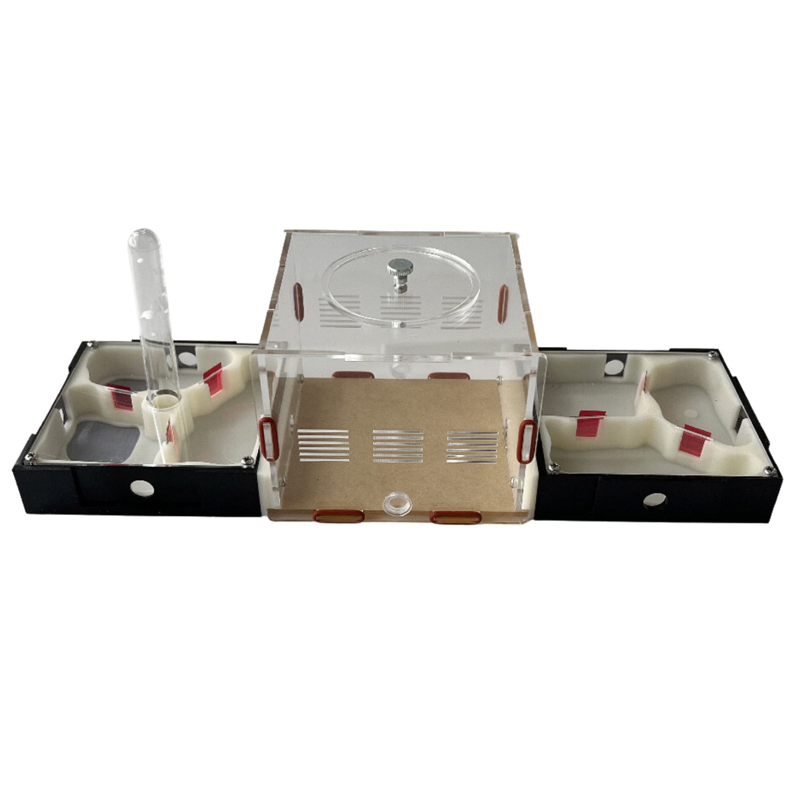 Ants Footsteps Ant Farm Science Kit – Nature Learning with Water Tower ...