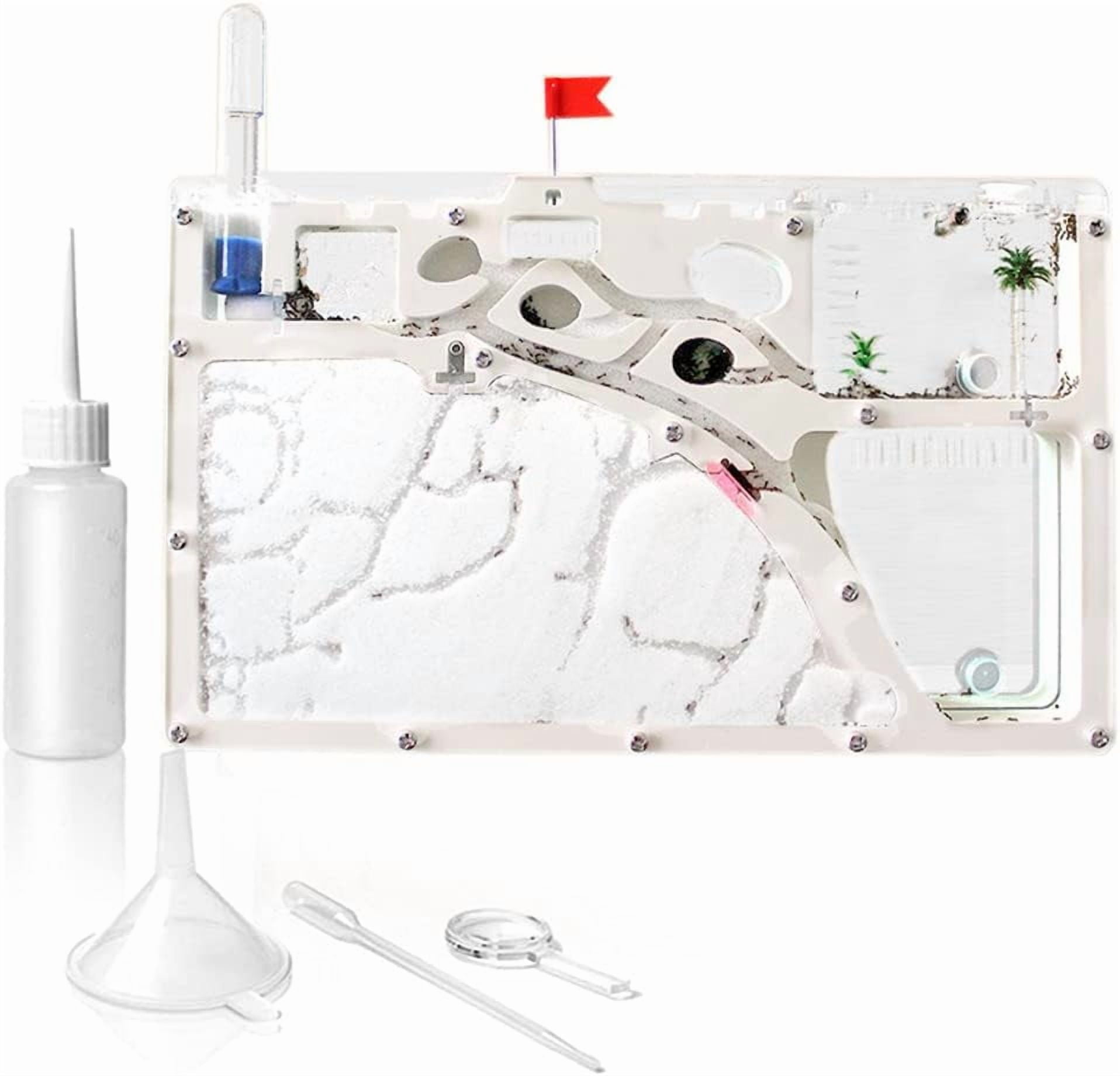 Ant Farming Castle, Ant Habitat Science Learning Kit, Ant Farms for Live Ants, Ant Colony ...