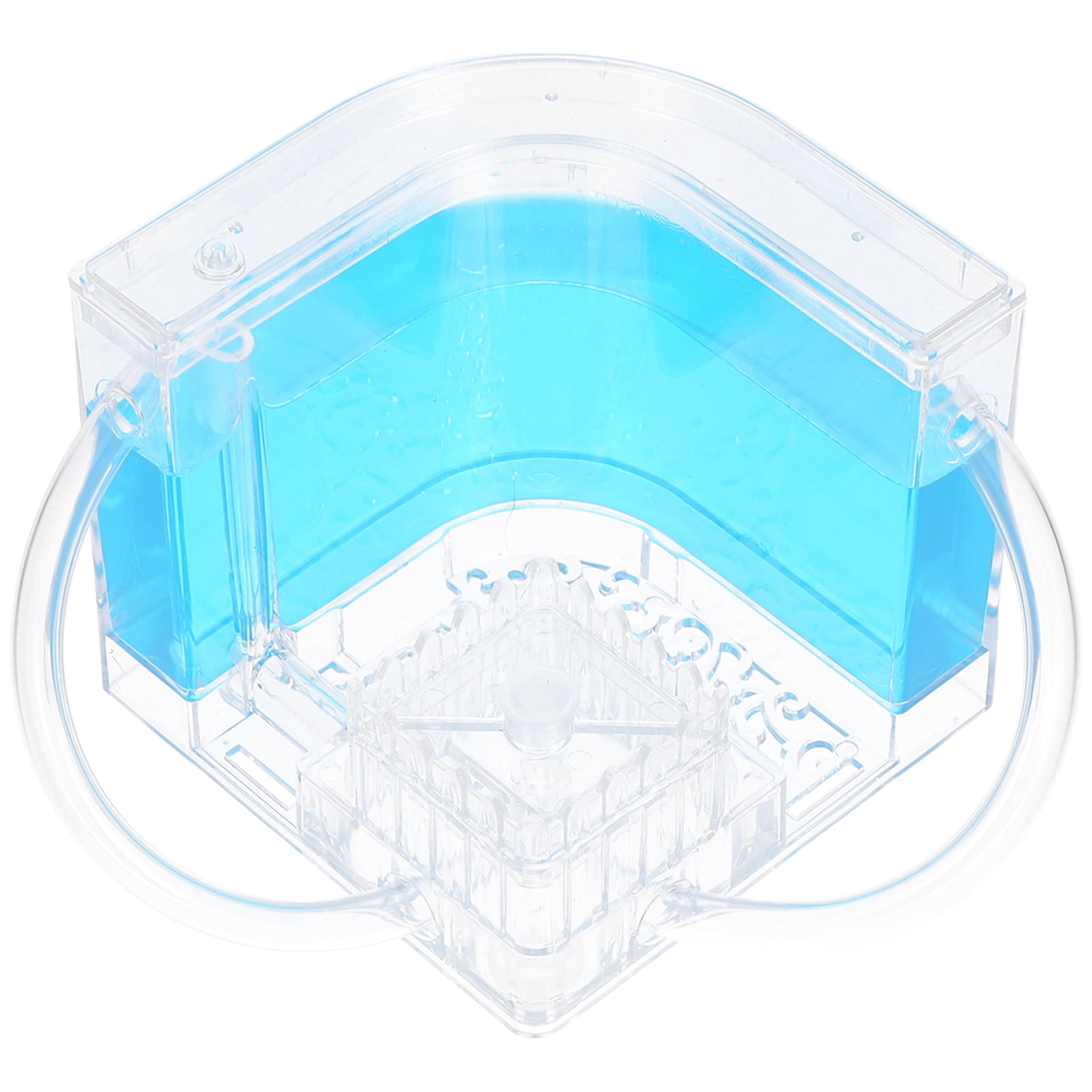 For Kids,Ant Farm Castle For Kids And Adults Educational Science For ... For Kids,Ant Farm Castle For Kids And Adults Educational Science For ...