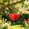 Ant Moat for Hummingbird Feeder - 9 OZ Extra Large Capacity Insect ...