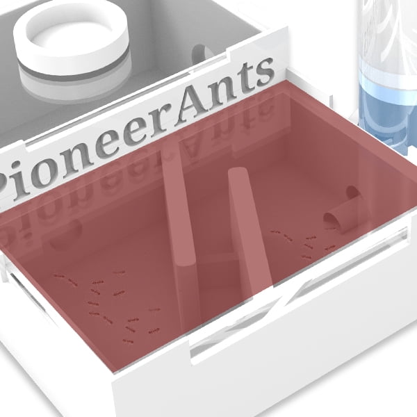 Ant Nest Ant Farm Castle Ant Castle Gypsum Test Tube Nest Ant Farm ...