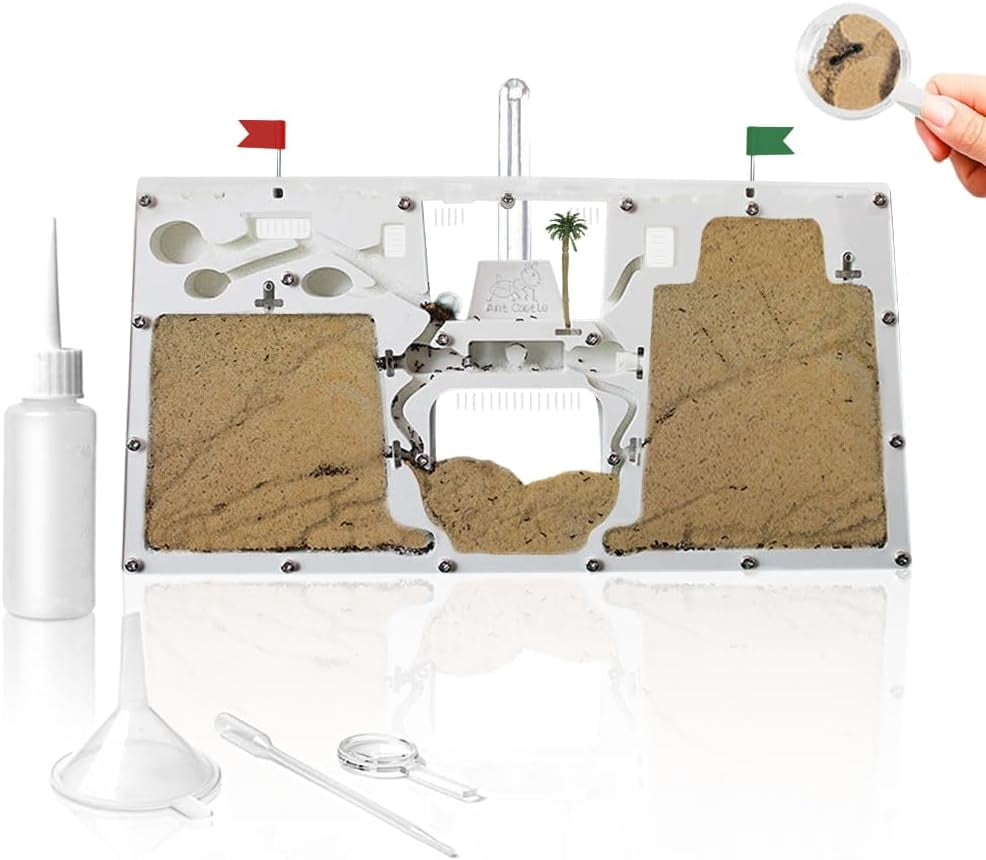 Ant Nest with 2 Test Tubes - Transparent Ant Farm for Adults 3D Printed ...