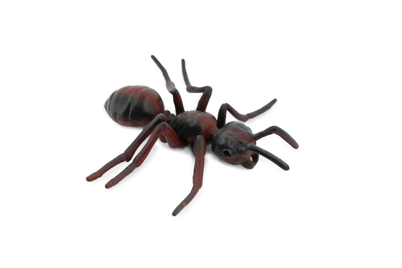 Ant, Red Fire Ant, Rubber Insect, Hand Painted, Realistic Toy Figure ...