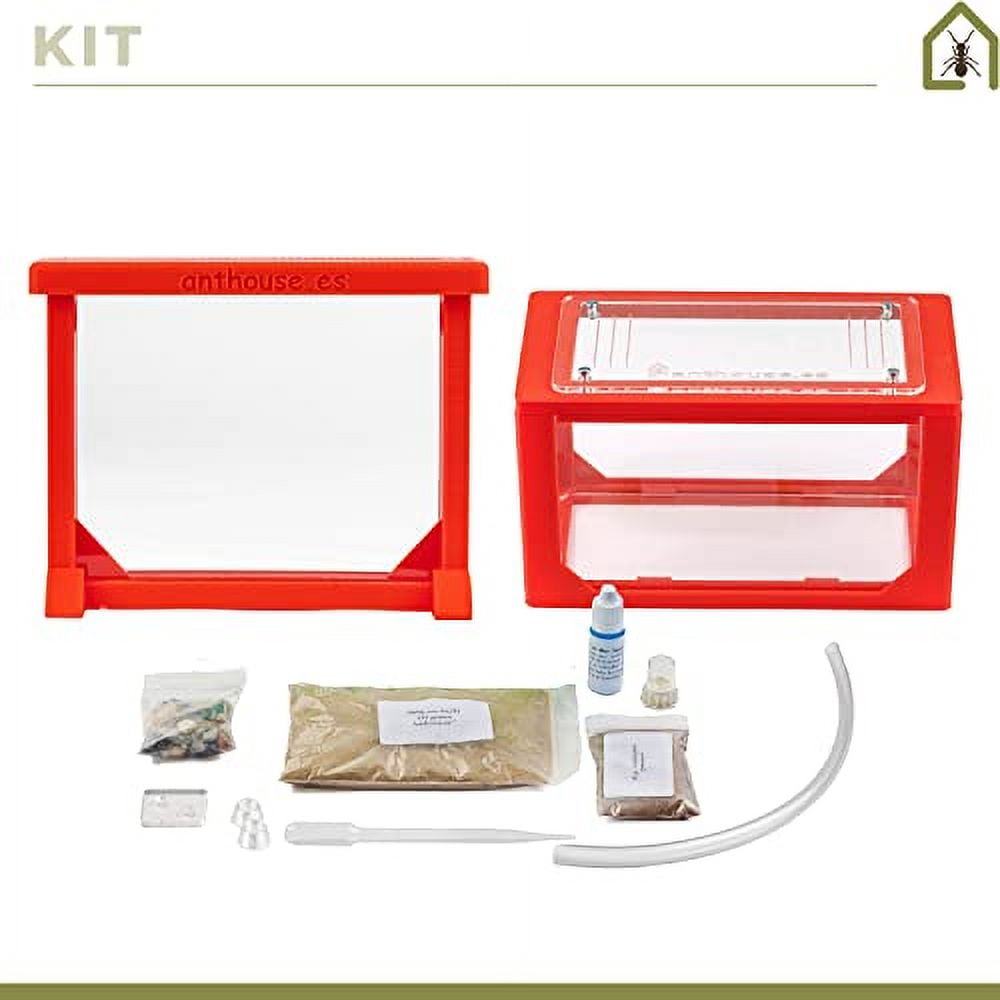 Sand Ant Hill | Grey 3D Mini Kit | Sandwich (4.72 x 3.94 x 0.39 in) + Forage Box (7.09x 3.94 x 1 ...