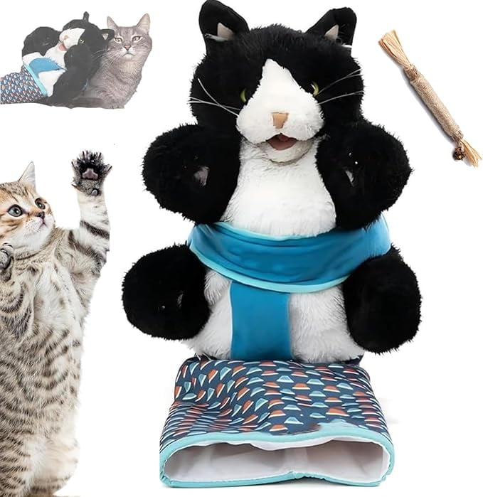 Antarcking Wrestler, Cat Wrestling Glove, Antarcking Wrestler Cat, Sumo ...