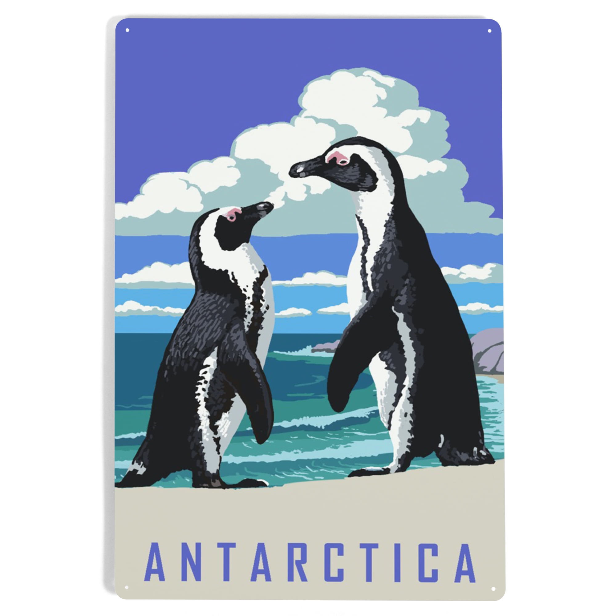 Antarctica, Two Black-Footed Penguins (12x18 Aluminum Art, Indoor ...