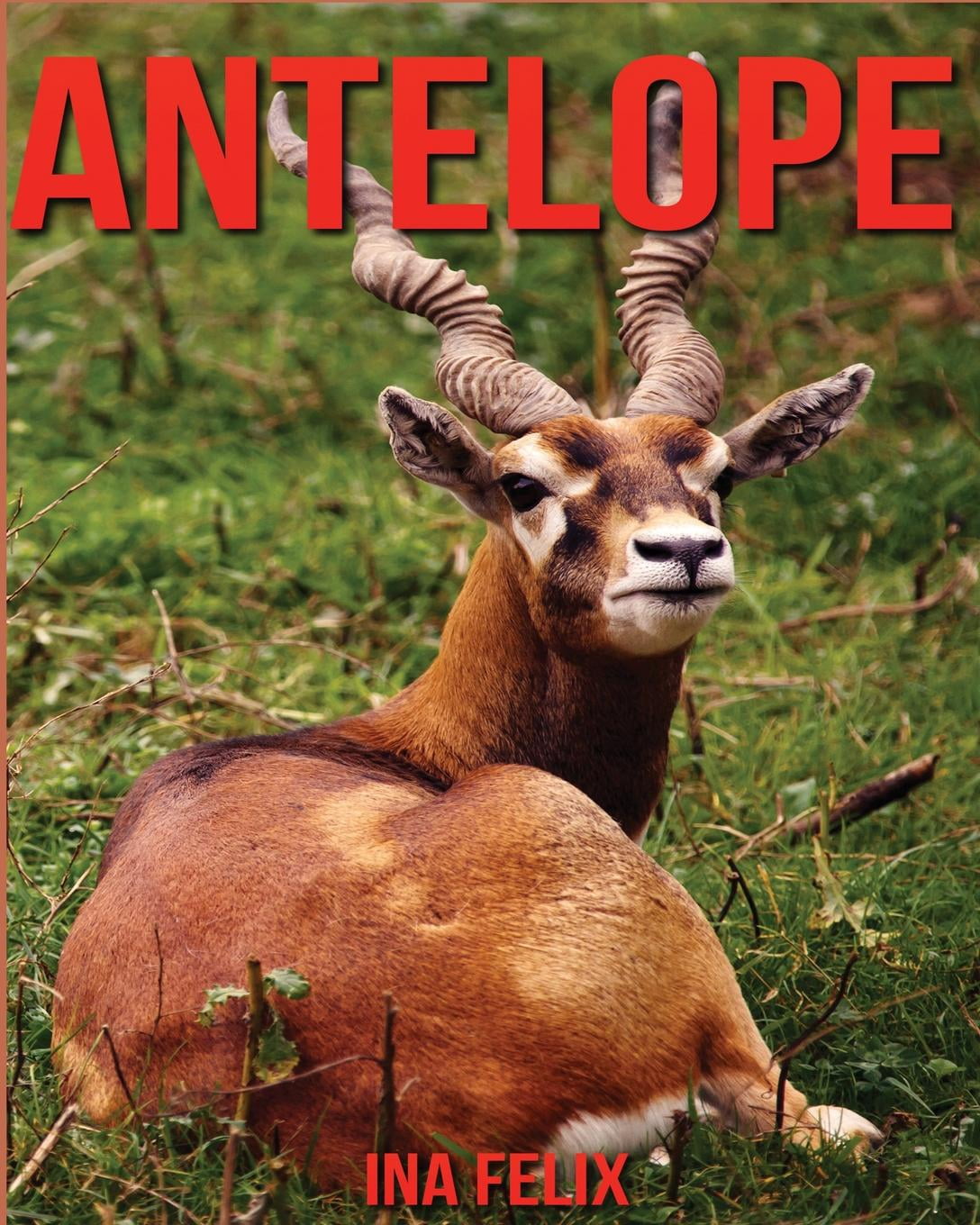 Antelope: Children Book of Fun Facts & Amazing Photos on Animals in ...