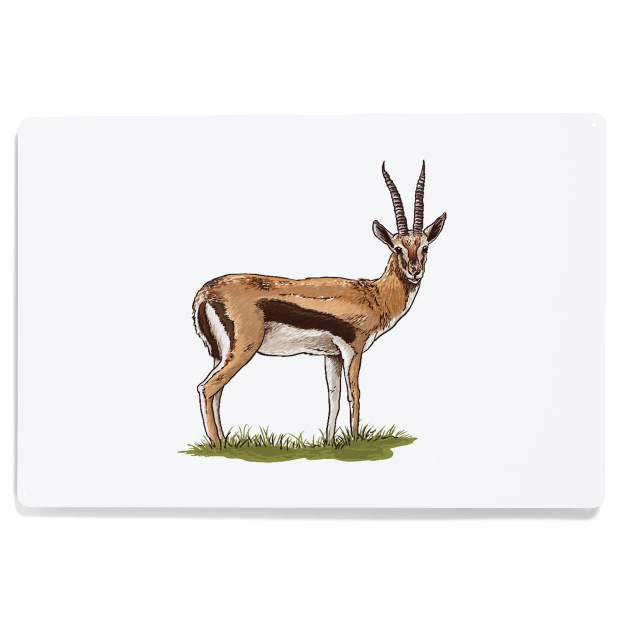 Antelope, Icon (12x18 Aluminum Art, Indoor Outdoor Metal Sign Decor ...
